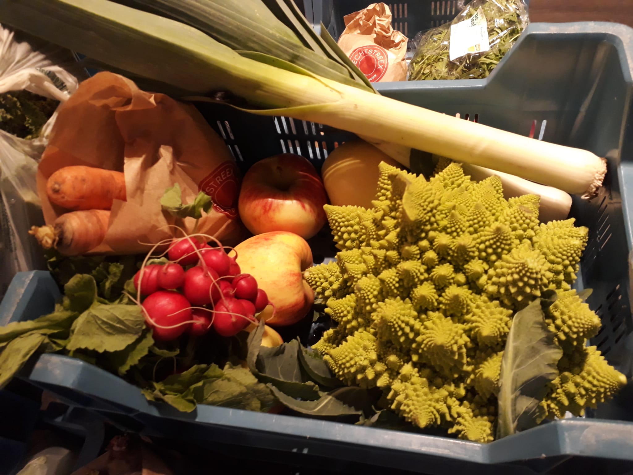 Can we buy local food in Rotterdam? - Fossil Free Around the World