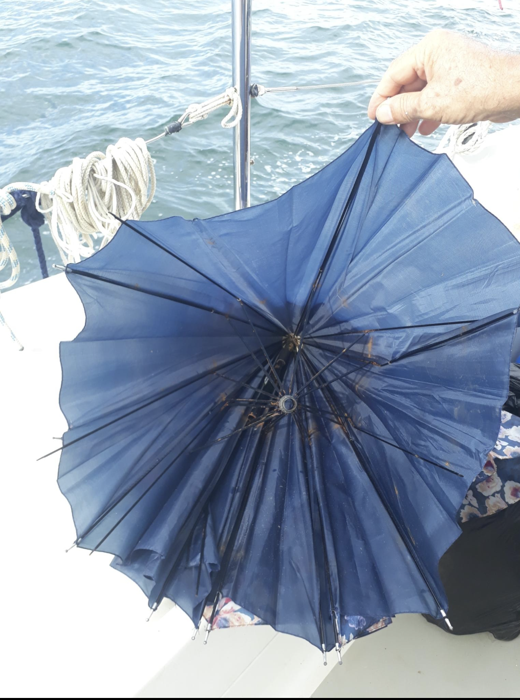 What to do with broken umbrellas - Fossil Free Around the World